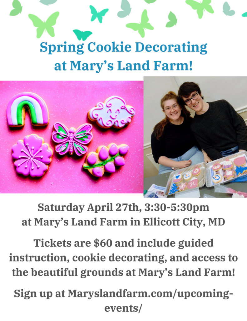 Classes – Live and Love Cakes LLC